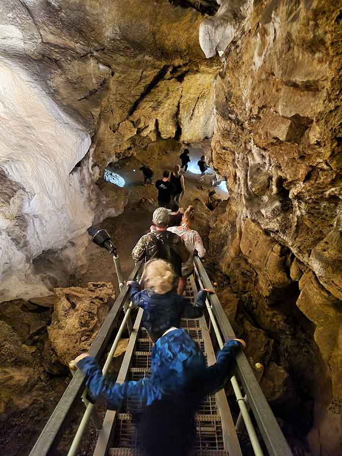 Descending metal stairs into amber-lit chambers, these adventurers discover what happens when water sculpts limestone for eons.