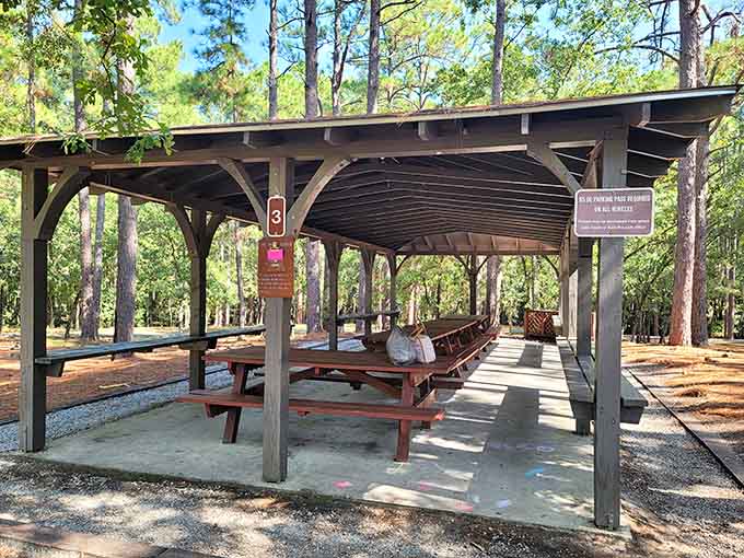 Covered pavilions offering shade and shelter, because even nature lovers appreciate a good roof sometimes.
