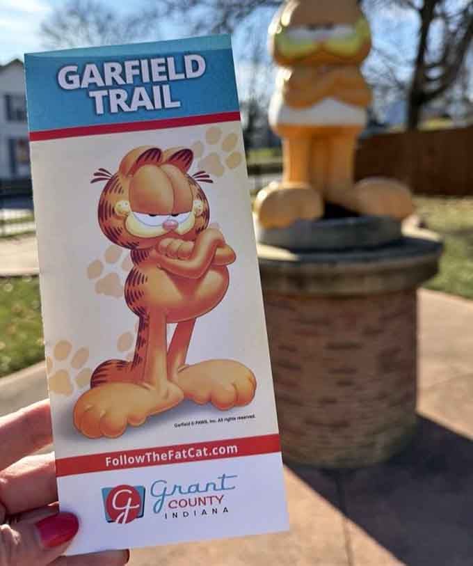 Your treasure map to orange cat glory, because getting lost has never been this entertaining or worthwhile.