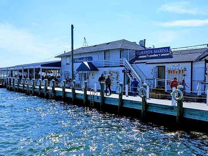 Waterfront dining where the seafood traveled about fifty feet from boat to plate, maximum freshness guaranteed always.