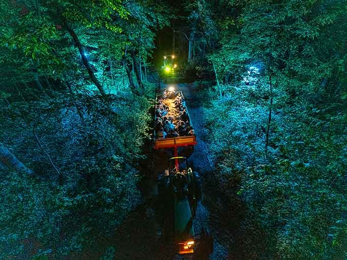 That tractor ride through the woods looks peaceful until you remember what's waiting in those trees for you.