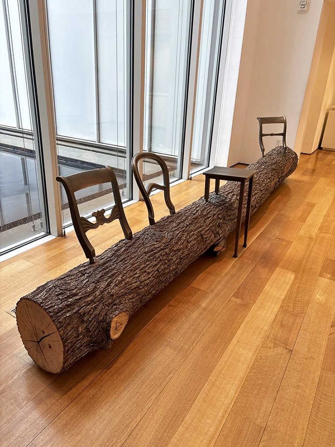 When chairs meet nature, you get the world's most philosophical seating arrangement for contemplative souls.