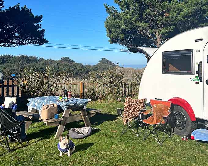 Ocean views from your campsite? Now that's what we call camping with a serious upgrade, friends.