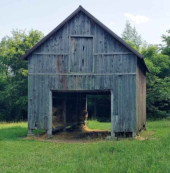 This weathered barn adds rustic charm to your archaeological adventure, proving multiple eras can coexist peacefully here.