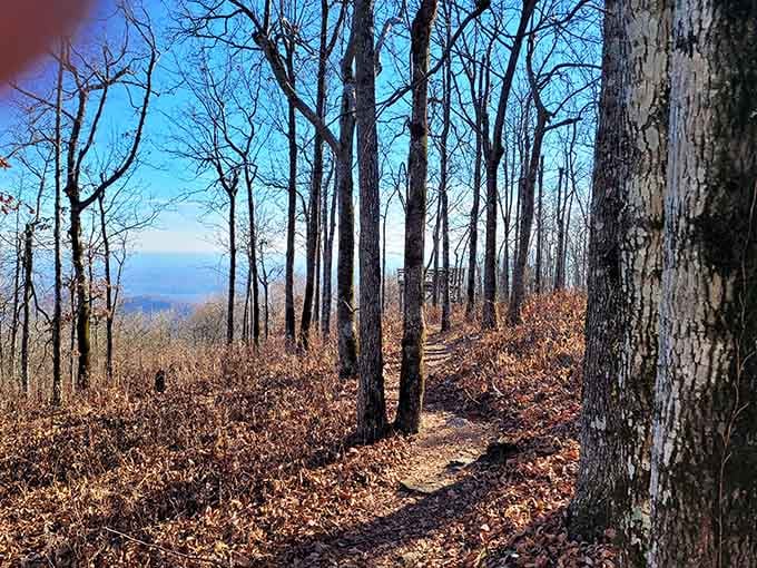 Mountain trails like these remind you why humans invented hiking boots and the phrase "I need to get outside more."