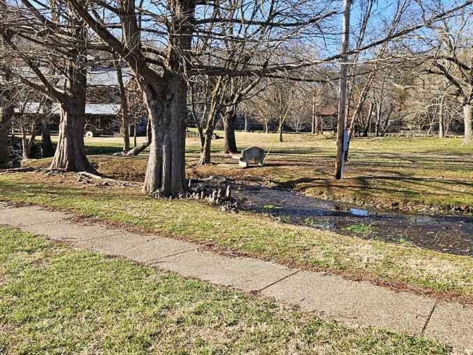 Pathways wind through the park where the only traffic jam involves deciding which direction offers the better creek view.