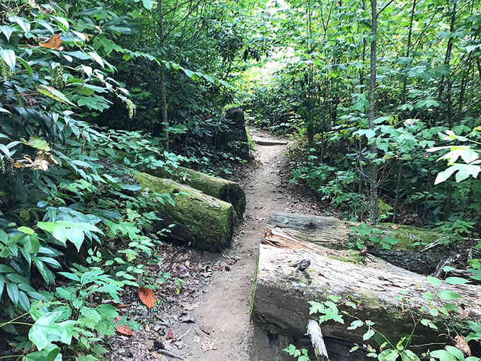 The trail through paradise is surprisingly well-marked, which is good news for directionally challenged adventurers everywhere.