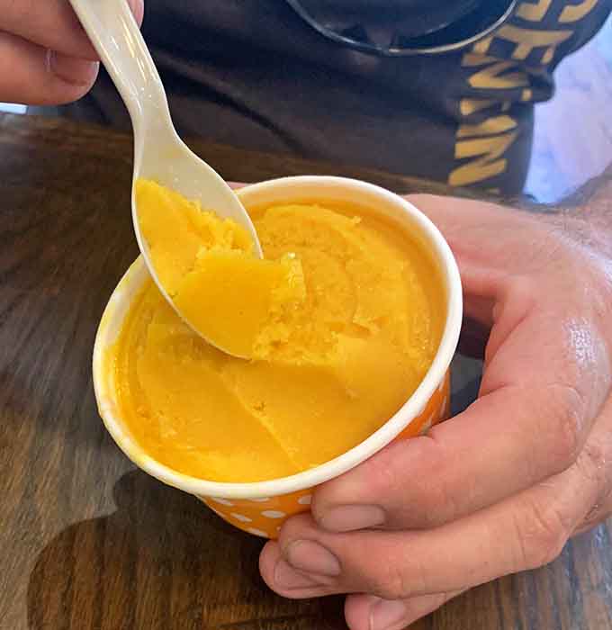 Bright mango ice cream brings tropical sunshine to New England, one creamy spoonful at a time.