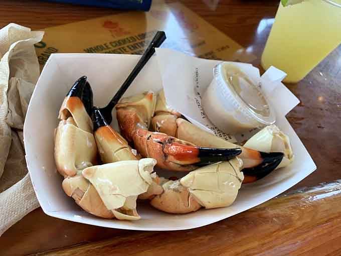 Stone crab claws served cold with mustard sauce, nature's way of saying Florida knows what it's doing with seafood.