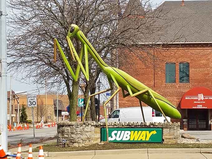 From this angle, our green friend looks ready to leap across Main Street for an afternoon snack.