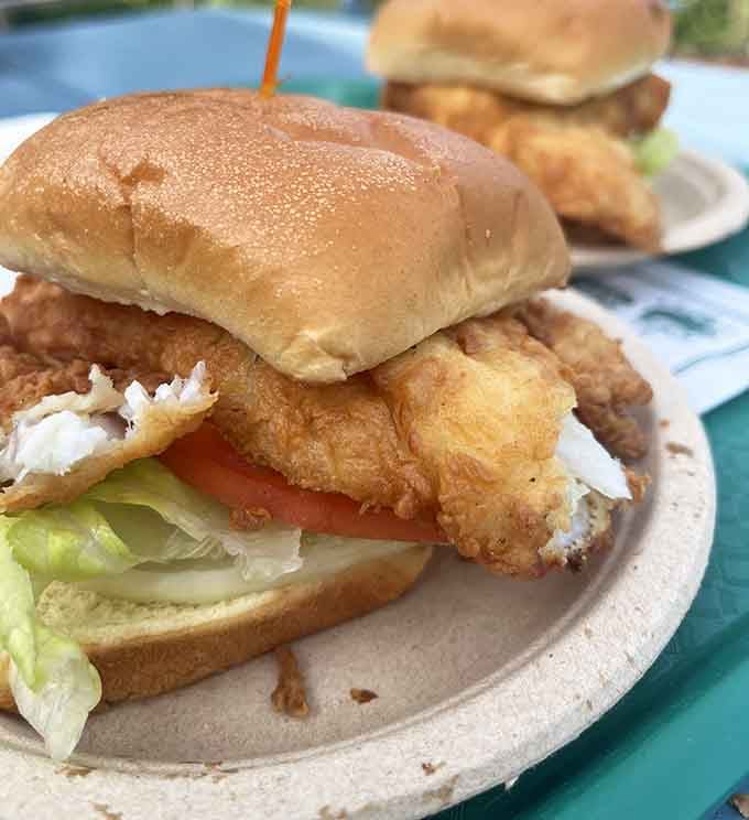 That golden fried fish sandwich stacked with lettuce and tomato looks like summer vacation tastes, pure and simple happiness.