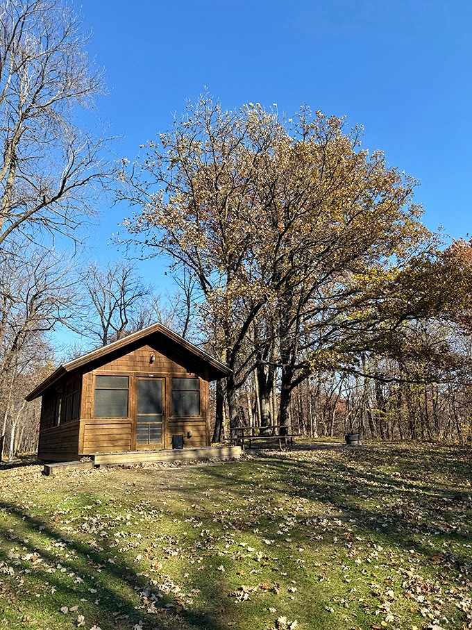 A cabin that proves roughing it doesn't have to mean actually being rough&mdash;comfort and nature can absolutely be friends here.