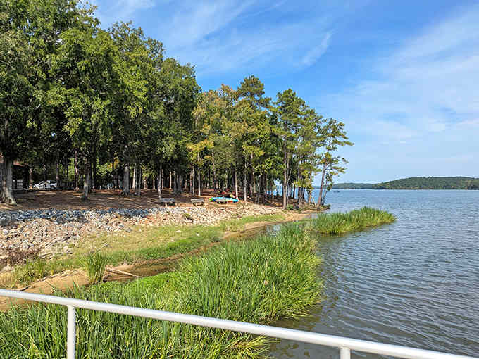 Campsites nestle along the water's edge where your morning coffee comes with a million-dollar view included.
