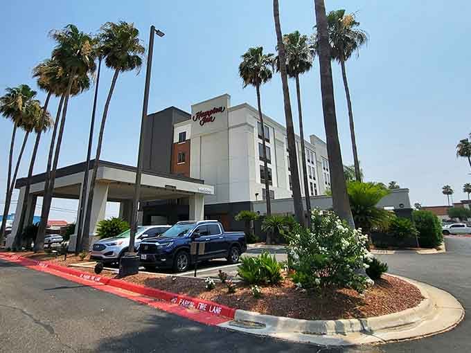 Hampton Inn's palm trees and clean lines welcome visitors to a city where hospitality meets genuine Texas warmth.