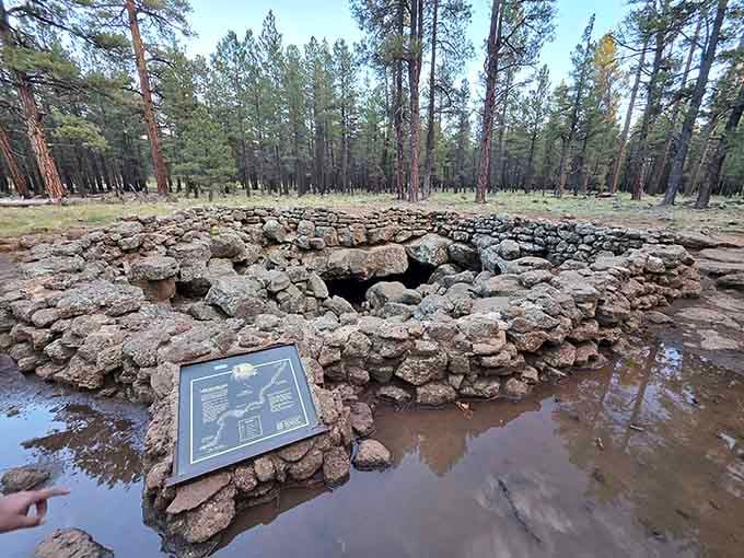 The collapsed ceiling section creates a natural skylight, your last glimpse of daylight before the real journey begins.