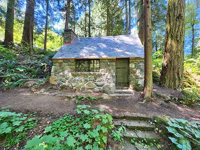 This charming stone cabin nestled among the ferns looks like something from a fairy tale, minus the witch.