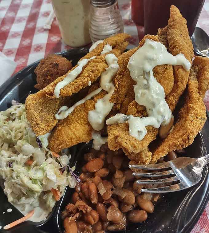 Golden fried catfish with creamy white sauce over pinto beans: Thursday nights just got a whole lot more interesting.