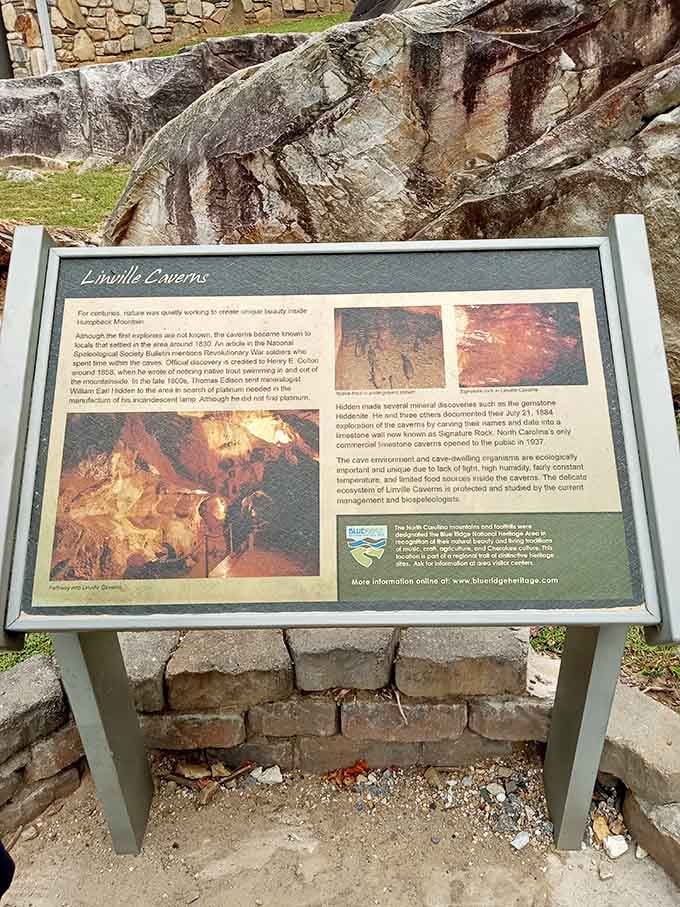 Educational signage tells the cavern's story, because even geological wonders deserve a proper introduction and backstory.