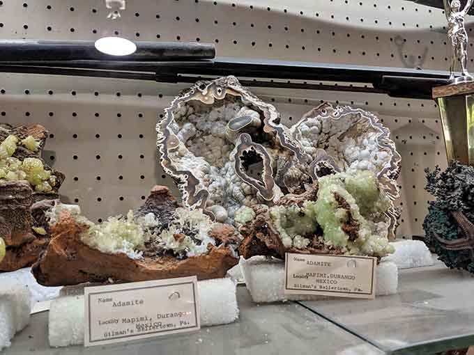 Minerals and geodes sparkle like nature's jewelry box, each specimen telling its own ancient geological story.