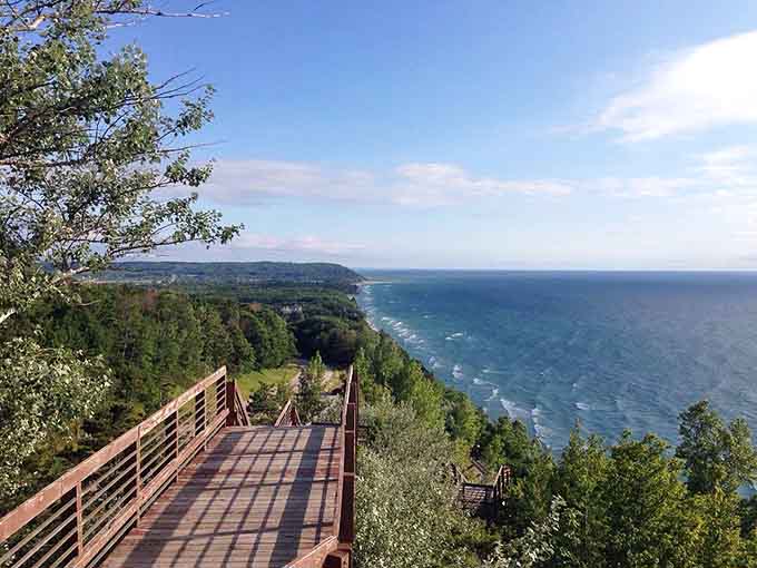 The view from Arcadia Overlook will make you pull over, guaranteed, because some things demand your full attention.