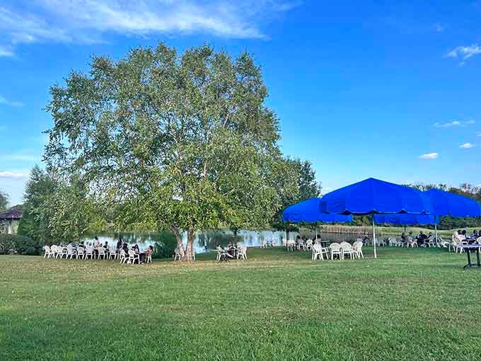 Blue umbrellas dot the lawn like cheerful punctuation marks, inviting you to sit, sip, and pretend you have nowhere else to be.