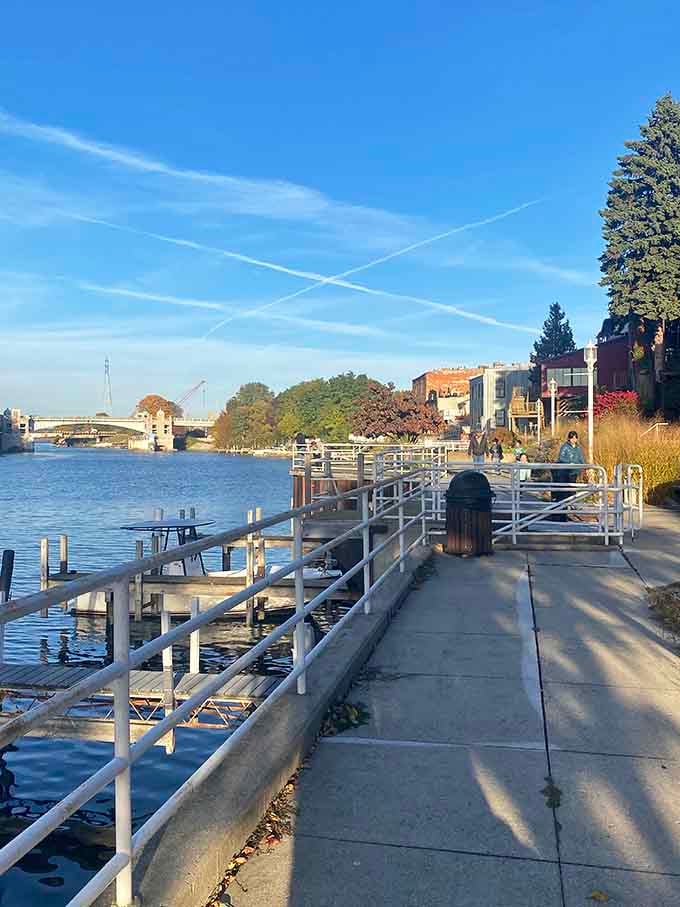 Late afternoon light turns the whole scene golden, proving that free entertainment can be the best kind.