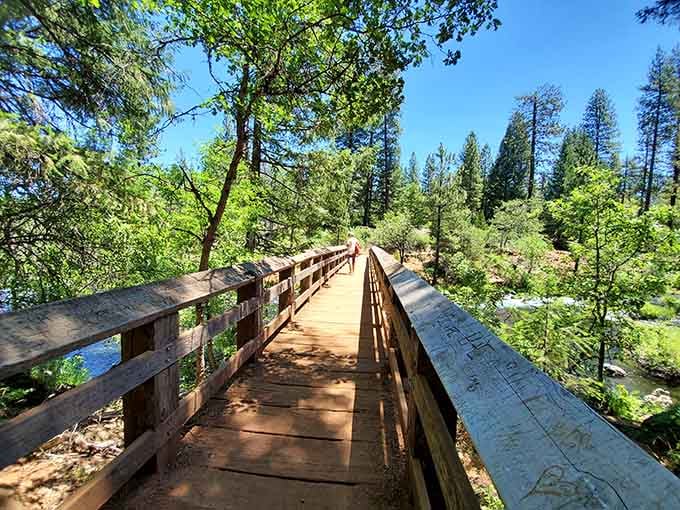 Wooden bridges guide you through the forest, making the journey as memorable as the destination itself.