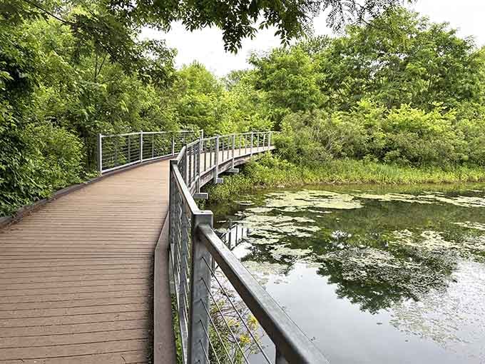 This boardwalk over the wetlands lets you explore without becoming part of the ecosystem yourself.