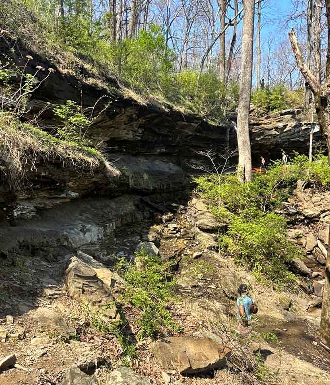 Nature's architecture on full display, showcasing limestone ledges that put most modern construction projects to shame with their staying power.