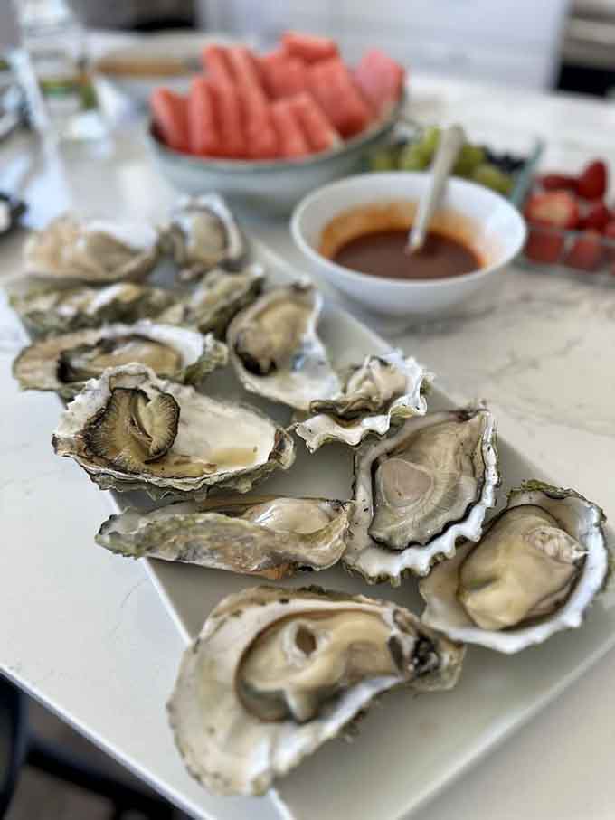 Fresh oysters on the half shell with all the fixings, proving simple pleasures are often the best.