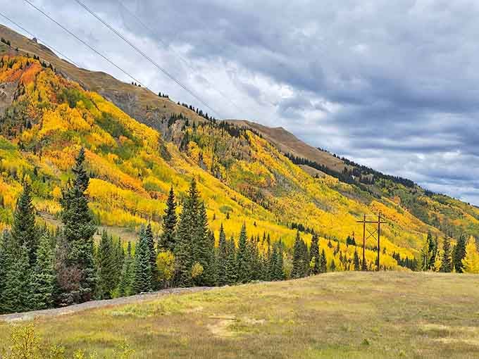 Autumn transforms entire mountainsides into golden tapestries that make your screensaver look positively lazy by comparison.