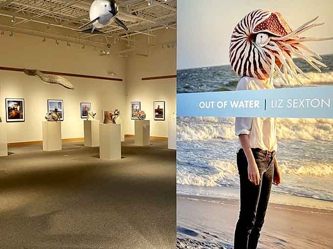 Contemporary marine photography meets sculptural installations in galleries that celebrate water in every artistic form.