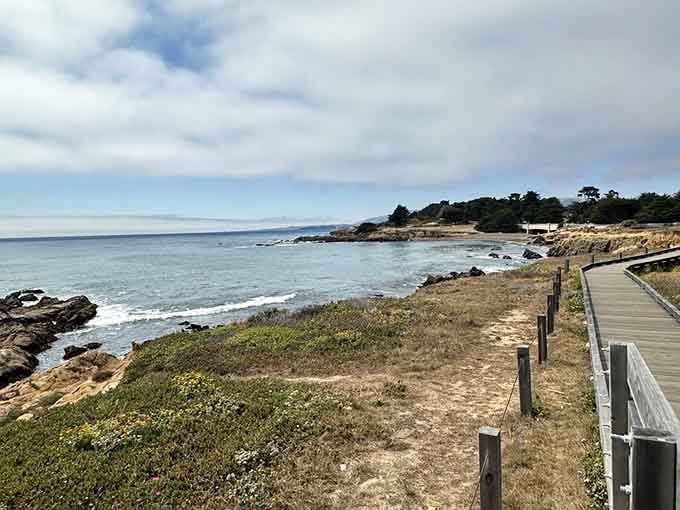 Rocky shores meet wooden pathways in a collaboration that proves nature and human design can actually get along.