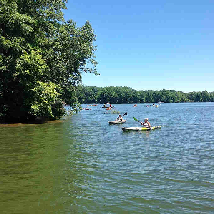 Paddlers glide across the water like they're auditioning for a nature documentary about peaceful living.