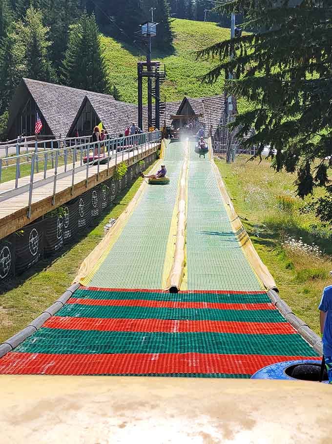 Racing down these lanes faster than you probably should, living your best summer life one slide at a time.