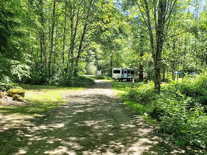 Tree-lined roads curve through the property like a peaceful neighborhood where everyone's on permanent vacation mode together.