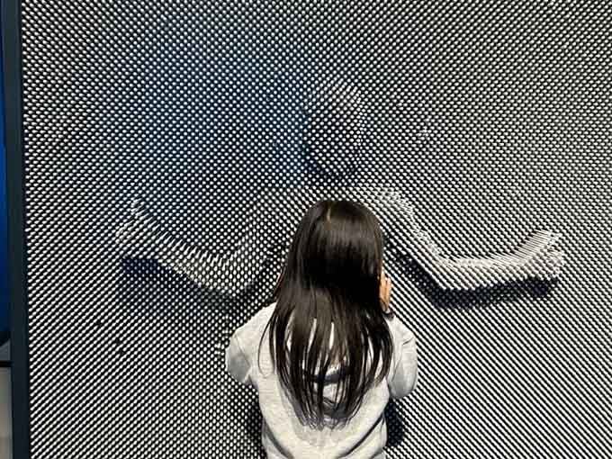Giant pin art that captures your silhouette in three dimensions, like a high-tech version of childhood handprints.