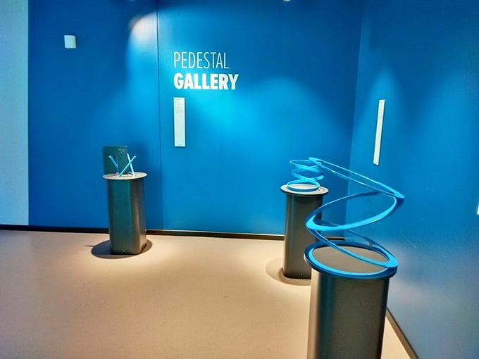Watch objects appear to roll uphill in the Pedestal Gallery, defying gravity and common sense with equal enthusiasm.