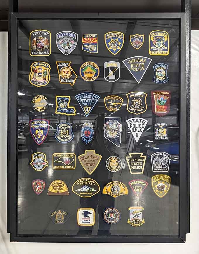 State trooper patches from across America, proving Mustangs have been outrunning tickets for decades everywhere.