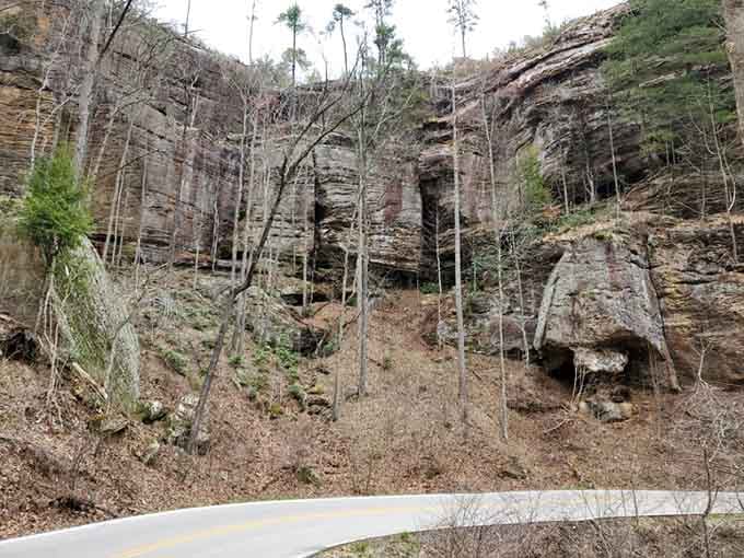 Layers of geological history stacked like the world's most impressive stone wedding cake, minus the frosting.