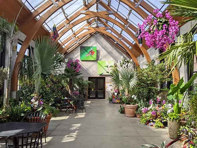 The greenhouse interior bursts with color and life, offering a warm escape that feels like a botanical vacation.