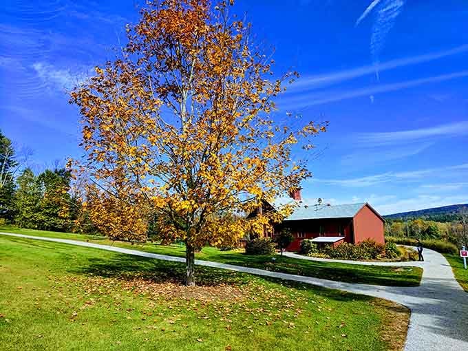 Autumn transforms the grounds into a painter's palette, proving nature can compete with the art inside.