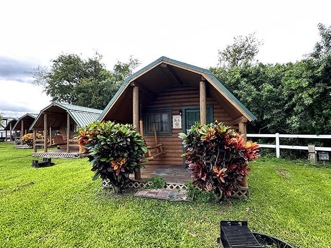 Your cabin awaits, complete with colorful plants and zero spiders the size of your fist, hopefully.