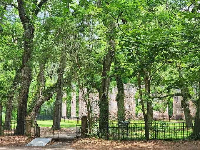 Spanish moss creates nature's curtains, framing ruins that look better without a roof anyway.