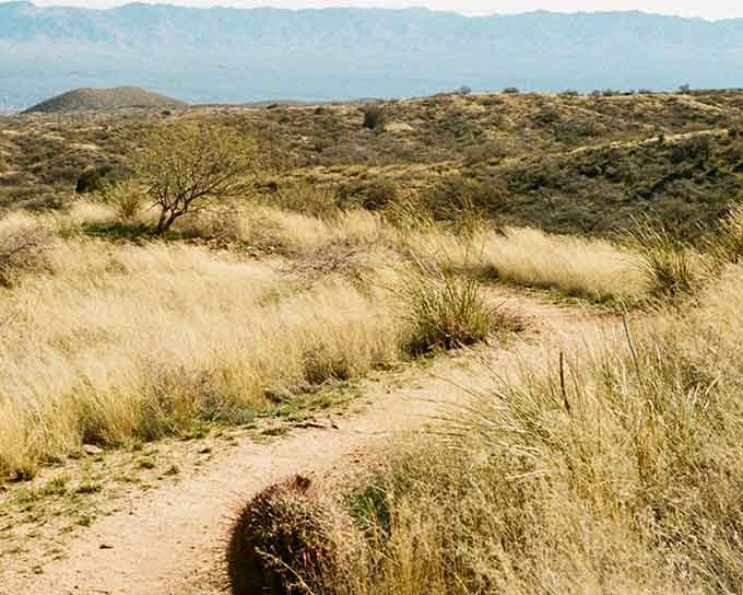Golden grasslands stretching toward distant peaks create views that'll make your camera work overtime with joy.