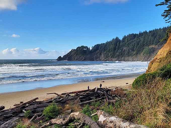 Where forest-covered cliffs plunge into the Pacific, creating the kind of dramatic scenery that makes postcards seem inadequate and boring.