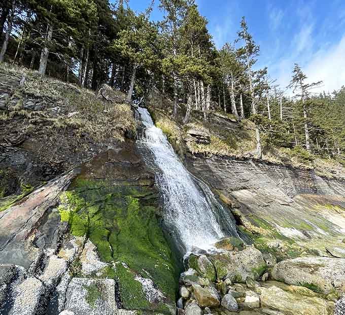 Hidden waterfalls tumble over moss-draped rocks, because apparently this park wasn't already magical enough without them.