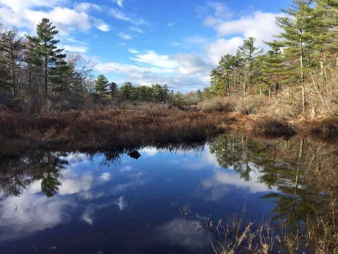 Mirror-perfect reflections on still water prove that sometimes the best art gallery is completely free and outdoors.