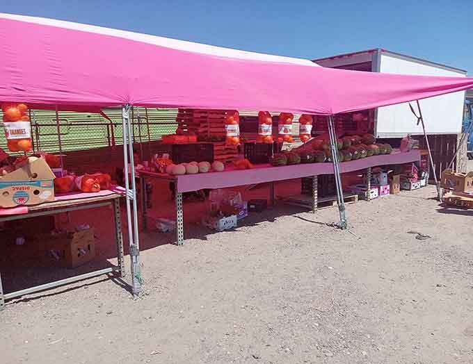 Fresh produce under a bright pink canopy proves that farmers markets have serious style competition.