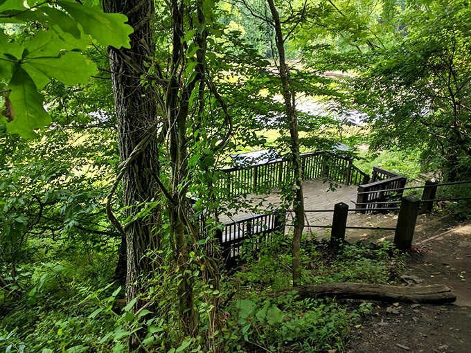 Wooden overlooks offer front-row seats to the river's endless show, no subscription required.